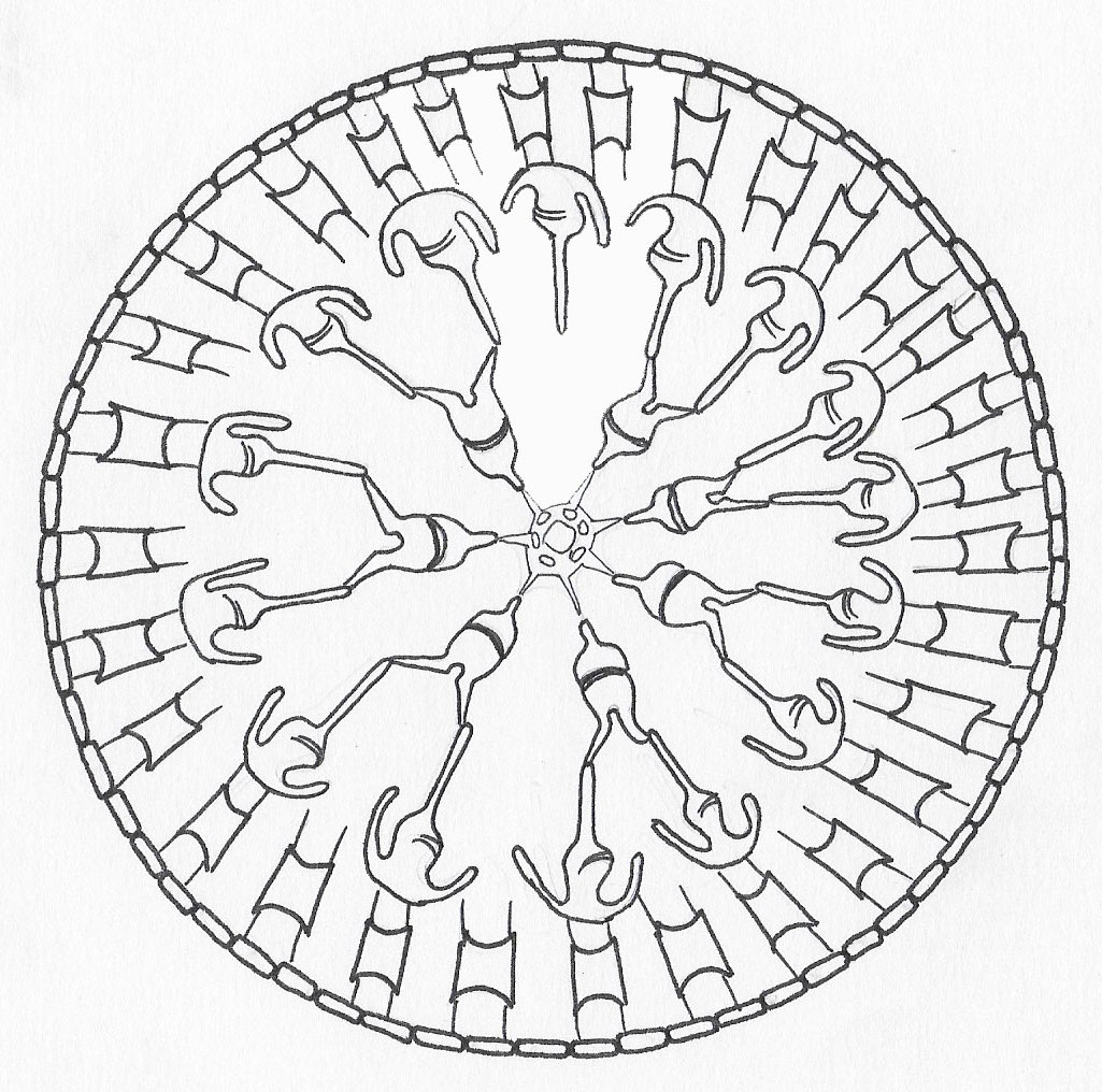 Episode 58: Lumped together – explaining species co-existence ...