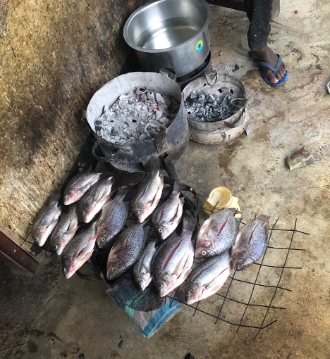 Fieldwork Diary #2 – Antibiotic Access in Tanzania – Naturally Speaking