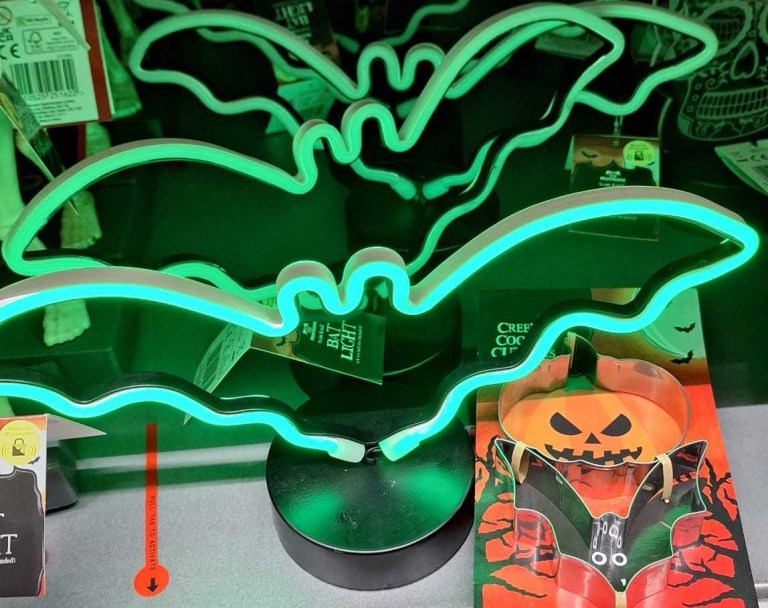 Who’s afraid of the big bad bat? – Naturally Speaking