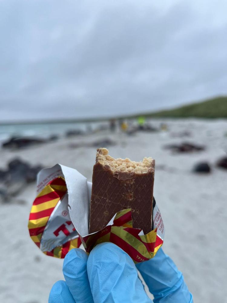 Fieldwork diary #6: Cetacean Mass Stranding Events in Scotland – Naturally Speaking